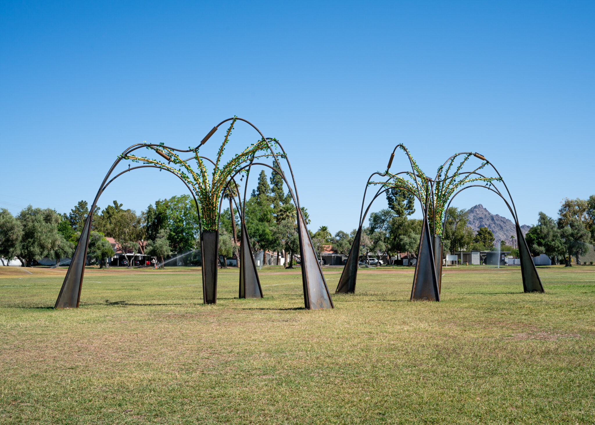 Standing Wave - Sombra